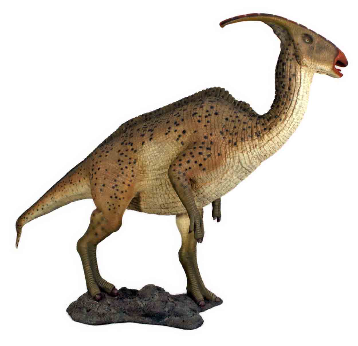 Parasaurolophus - Hamac Trading