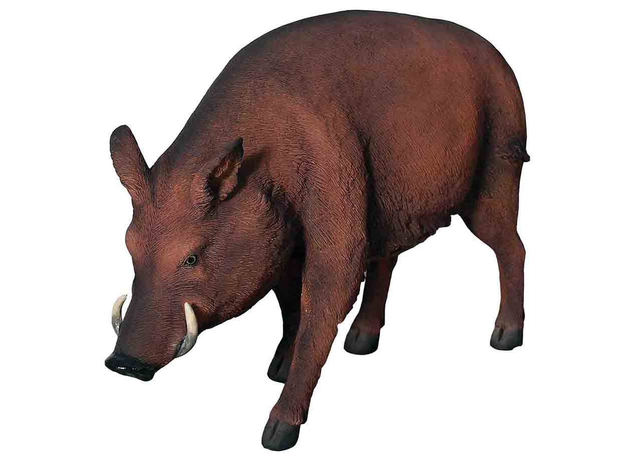Life Size Fibreglass Resin Wild Boar Model - Hamac Trading | Formerly ...
