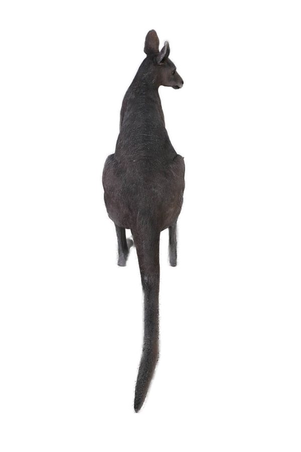 Life Size Fibreglass Resin Kangaroo with Joey Model - Hamac Trading ...