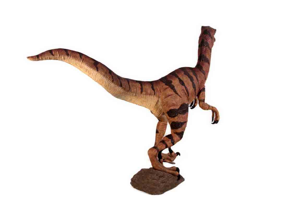 Life Size Fibreglass Resin Velociraptor Model - Hamac Trading ...