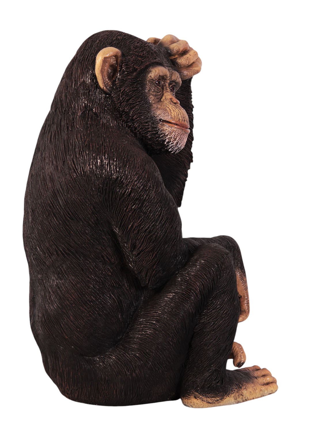 Life Size Fibreglass Resin Chimpanzee Model - Hamac Trading | Formerly ...