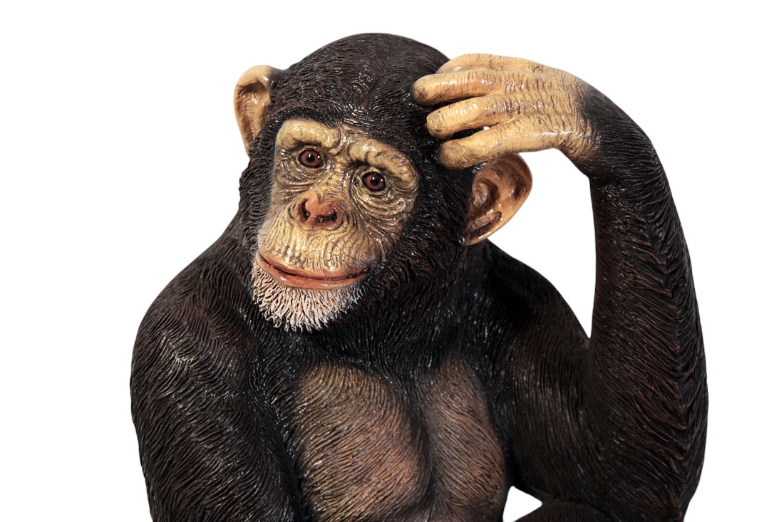 Life Size Fibreglass Resin Chimpanzee Model - Hamac Trading | Formerly Hamac Displays