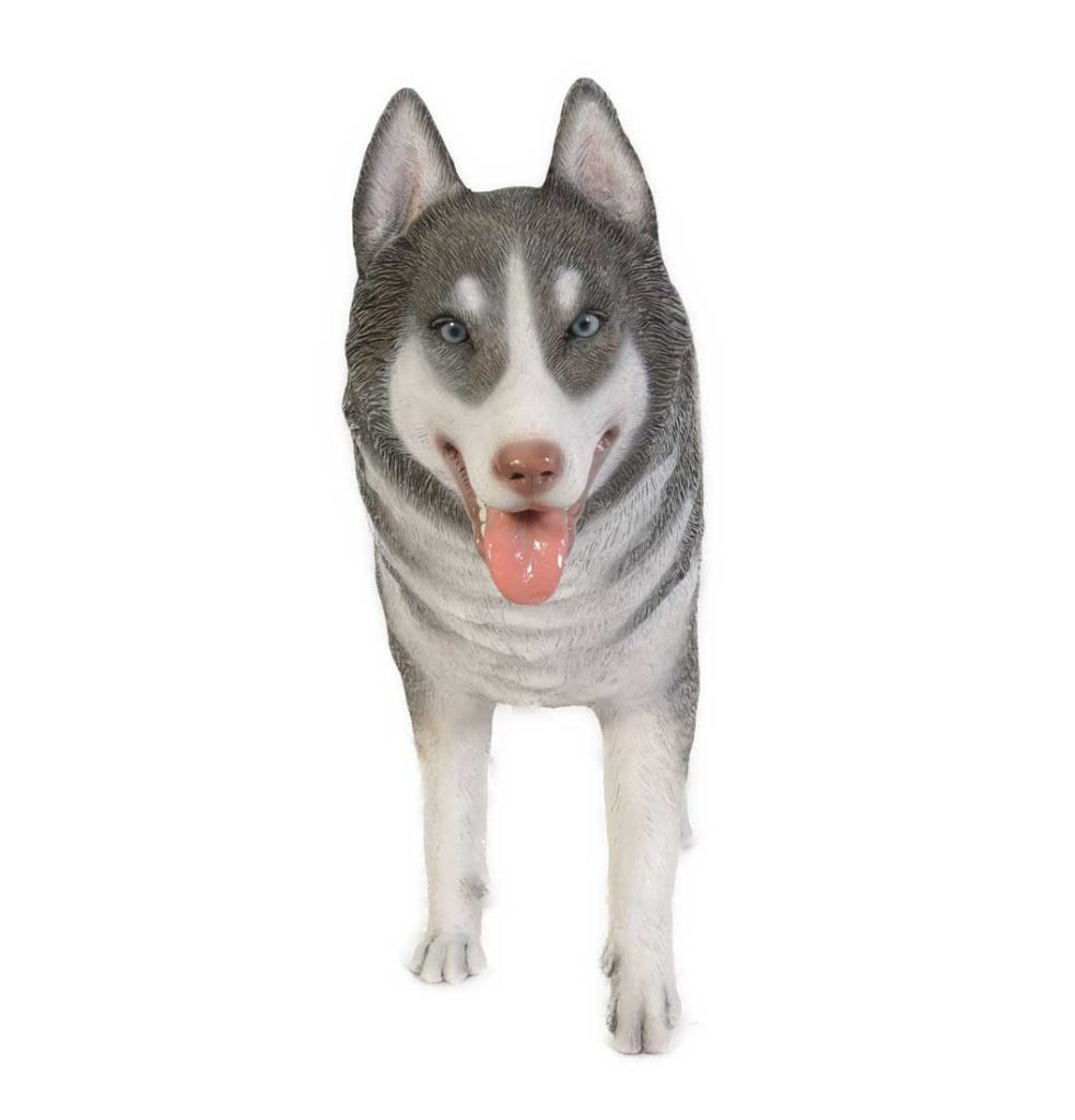Life Size Fibreglass Resin Siberian Husky Model - Hamac Trading ...