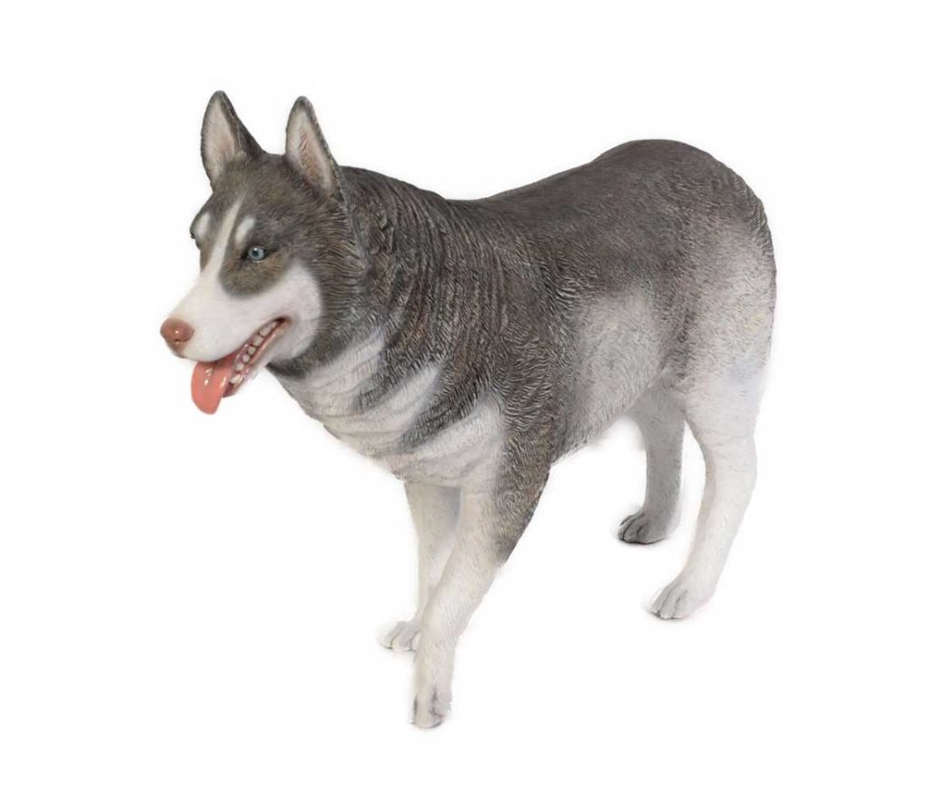Life Size Fibreglass Resin Siberian Husky Model - Hamac Trading ...