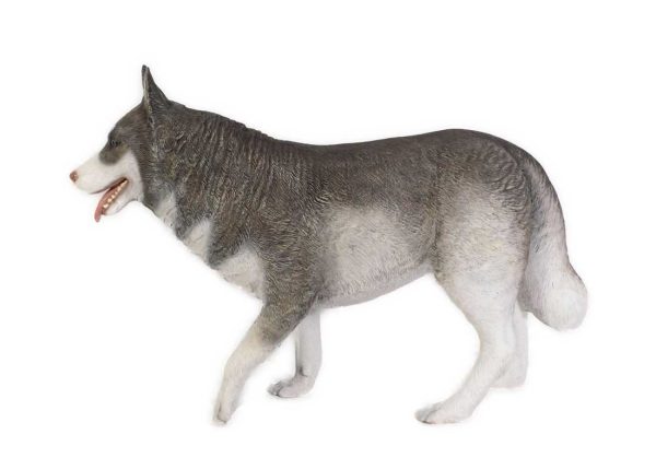 Life Size Fibreglass Resin Siberian Husky Model - Hamac Trading ...