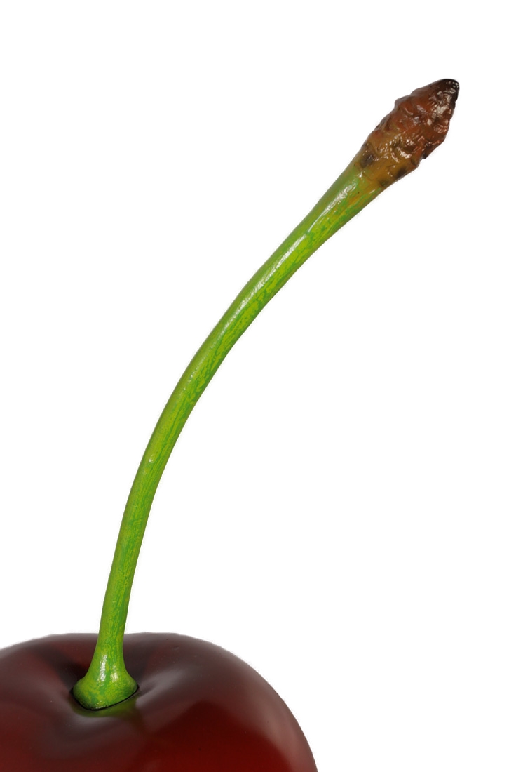 Cherry - Hamac Trading