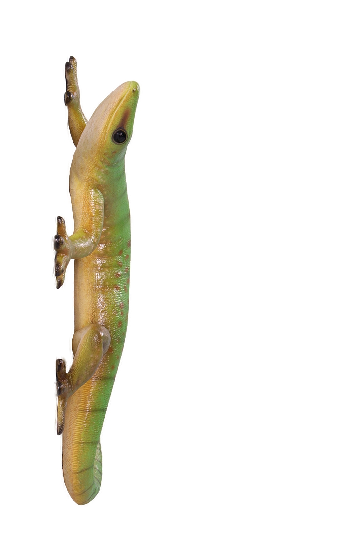 Large Gecko - Hamac Trading