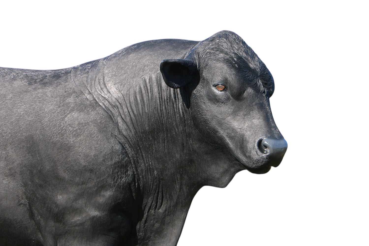 Life Size Fibreglass Resin Black Angus Bull Model - Hamac Trading ...