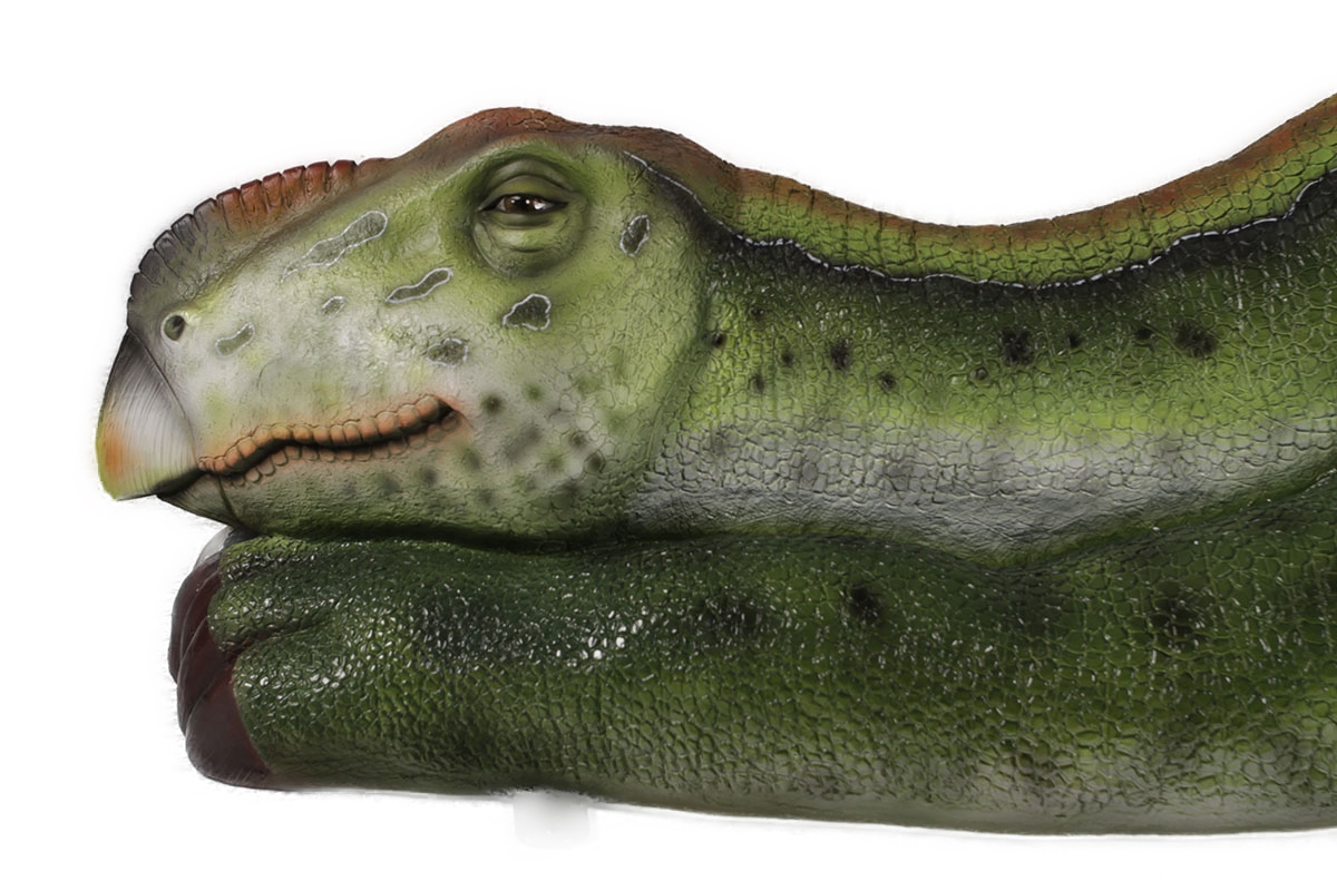 Sleeping Muttaburrasaurus - Hamac Trading