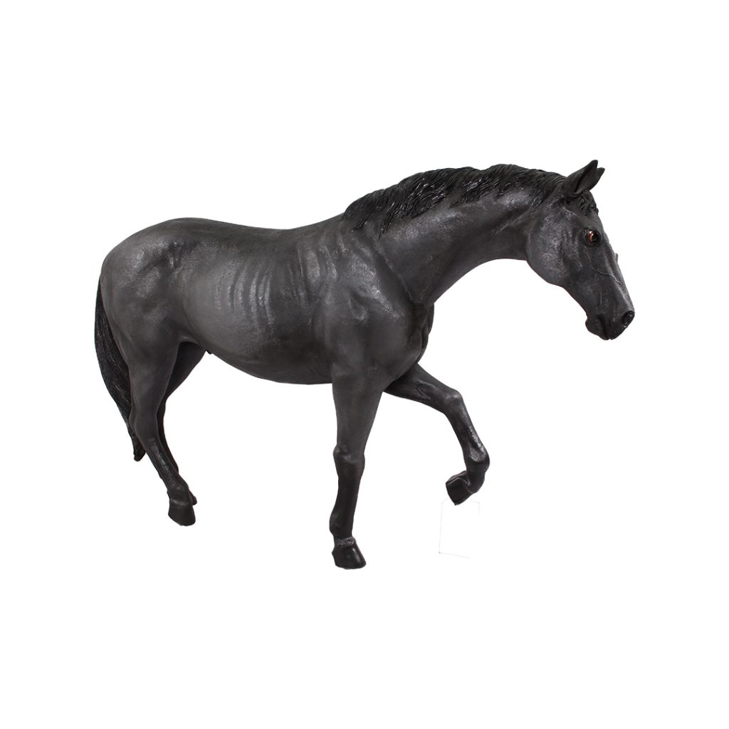 Black Horse - Hamac Trading