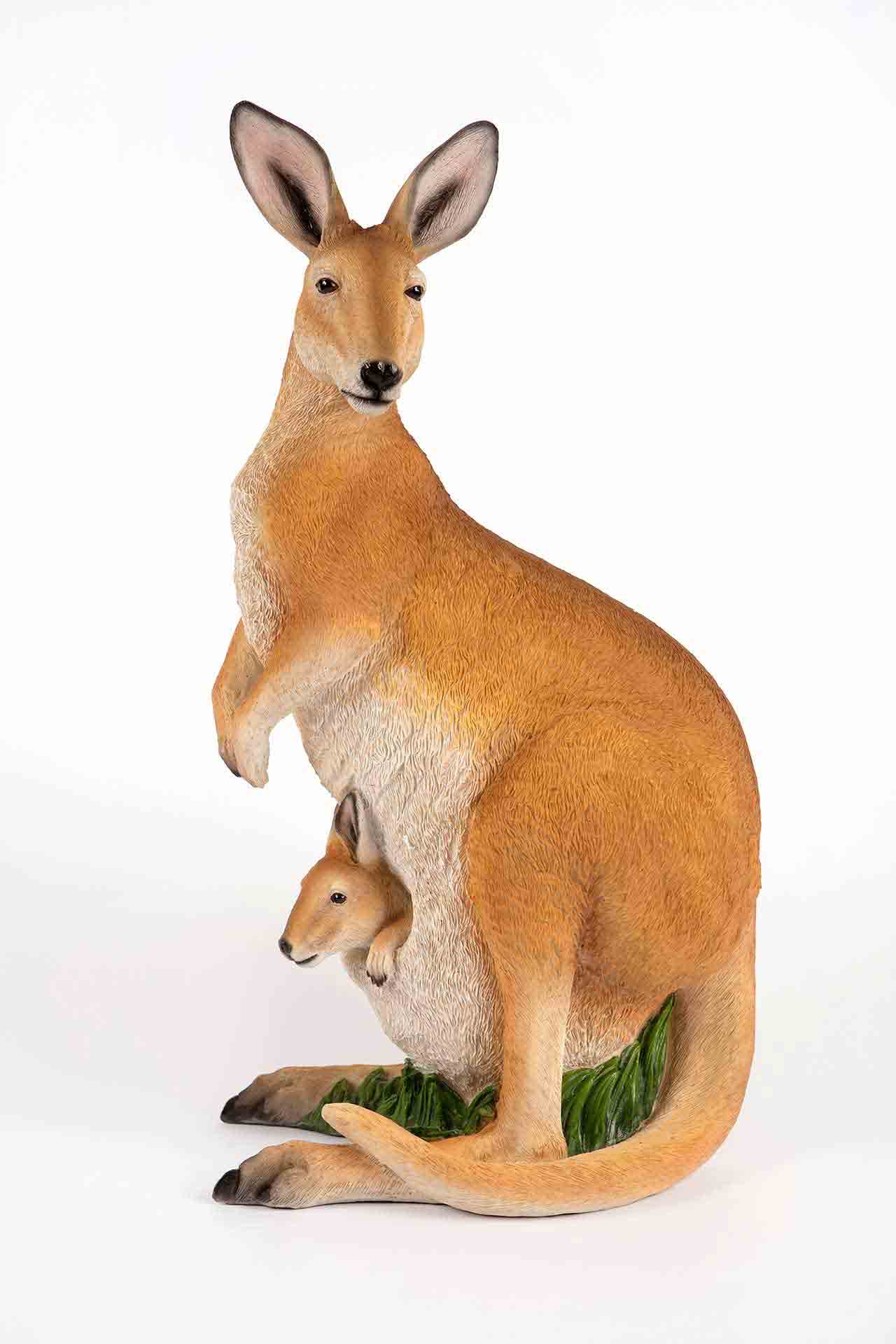 Kangaroo - Hamac Trading