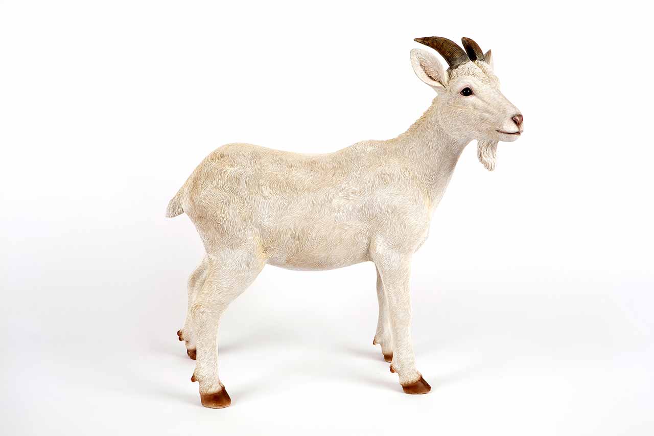 Standing White Billy Goat - Hamac Trading