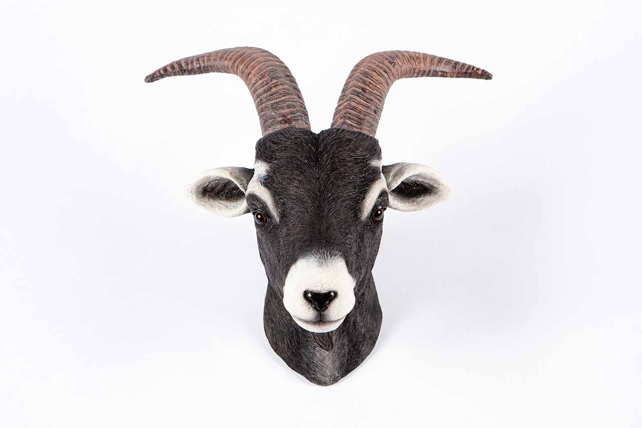 Goat Head Wall Décor - Hamac Trading
