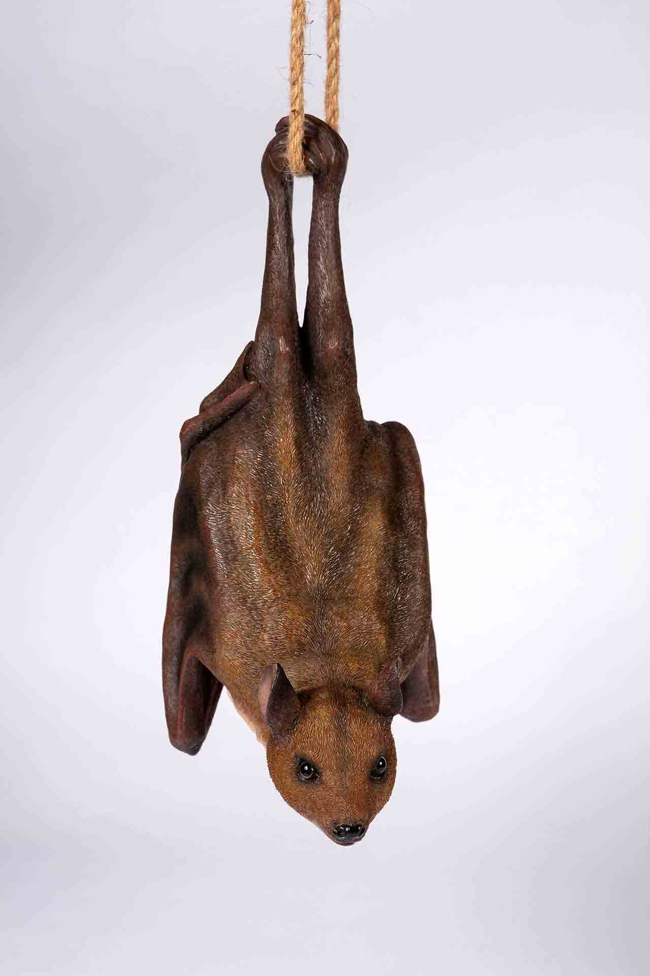 Hanging Bat (Head Up) - Hamac Trading
