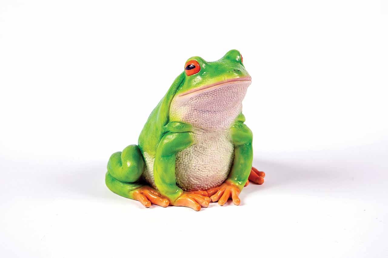 Sitting Frog - Hamac Trading