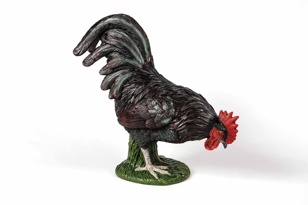 Black Cockerel - Hamac Trading