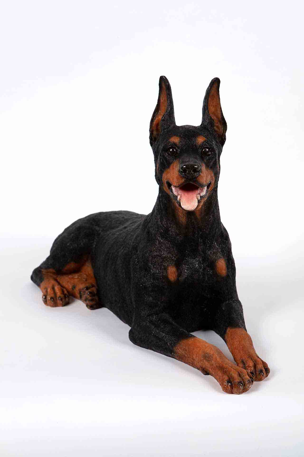 Dobermann Laying - Hamac Trading