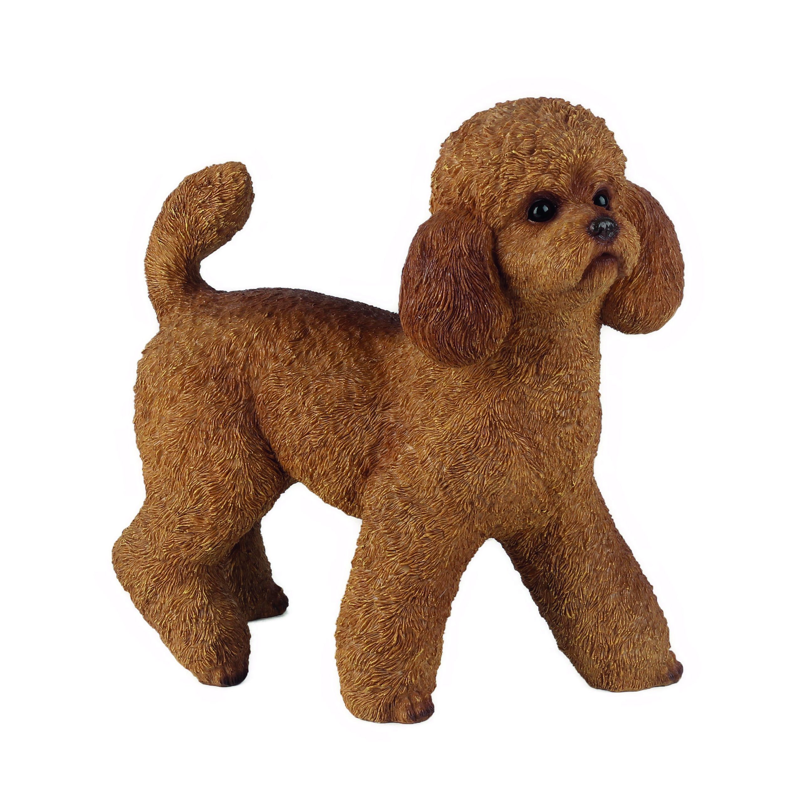 Standing Poodle – Brown Dog in Walking Pose